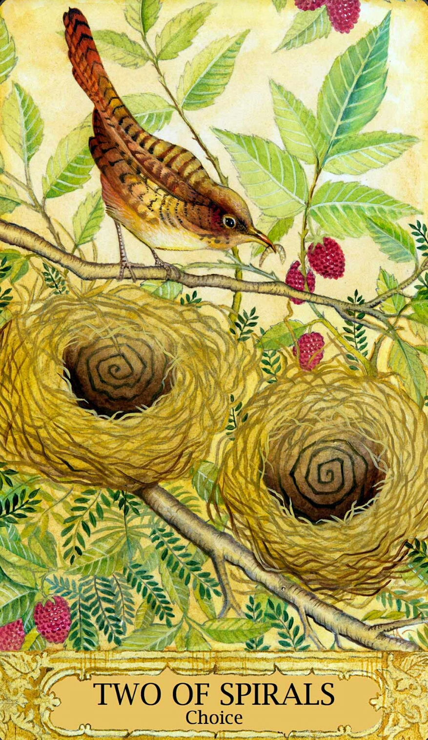Tarot Card of the Week: Two of Spirals • Psychic Scoop